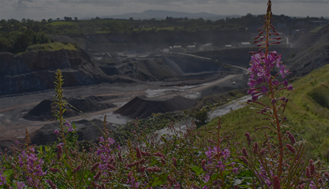 Our approach - Breedon